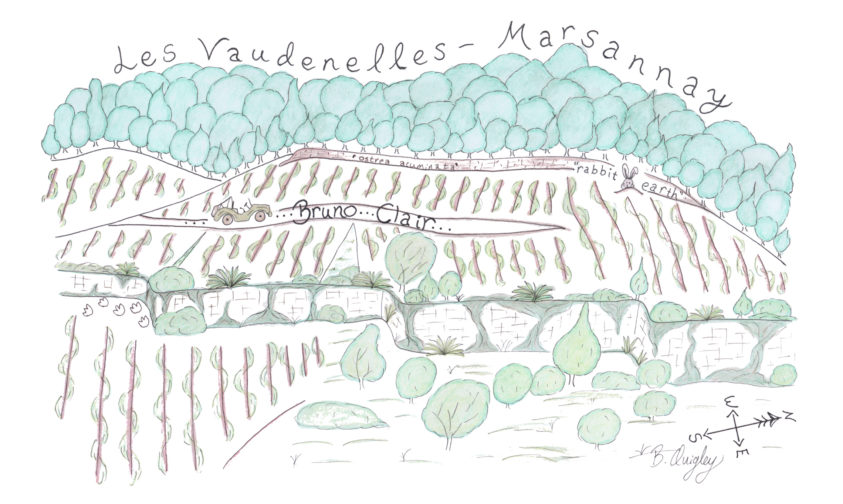 Marsannay Rouge Les Vaudenelles : Becky Wasserman & Co.